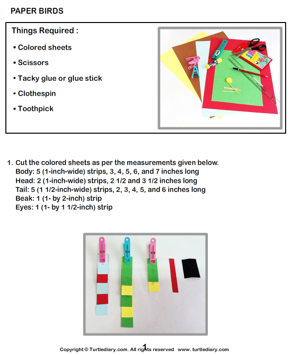 Paper Bird | Turtle Diary Craft