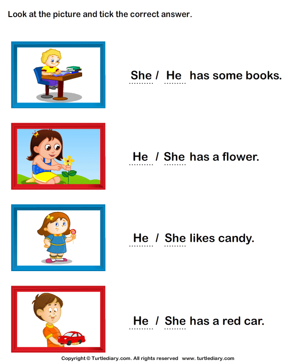 Choose Between She And He Turtle Diary Worksheet Choose Between She And He Turtle Diary Worksheet