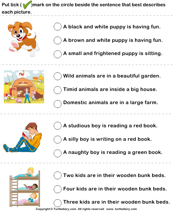 Sentence Describing Pictures Turtle Diary Worksheet Sentence Describing Pictures Turtle Diary Worksheet