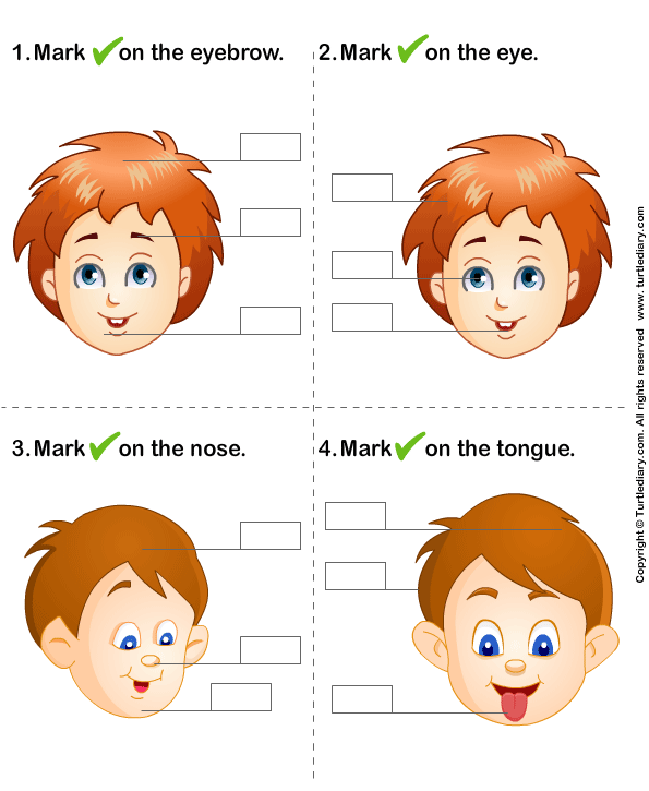 Human Body Face Parts Names Turtle Diary Worksheet