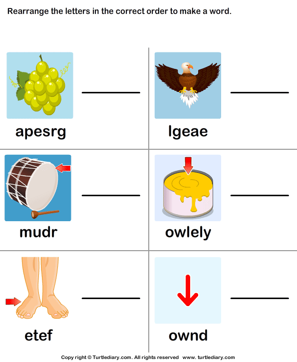 Word Scramble Turtle Diary Worksheet